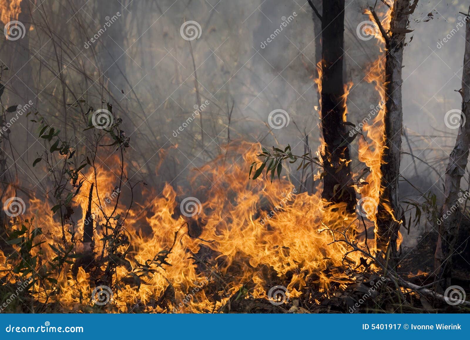 Nature disaster stock image. Image of department, damaged - 5401917