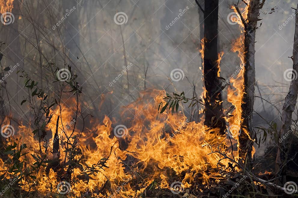 Nature disaster stock image. Image of department, damaged - 5401917