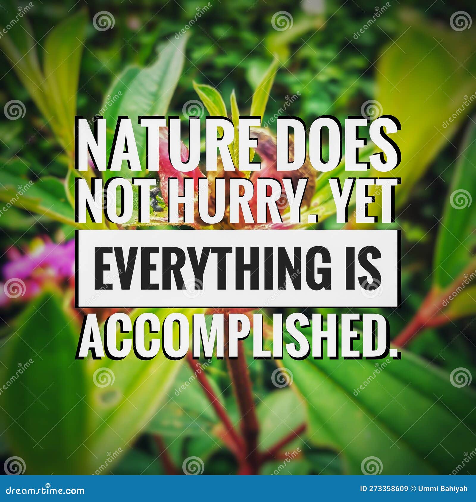 Nature Does Not Hurry. yet Everything is Accomplished Stock Image ...