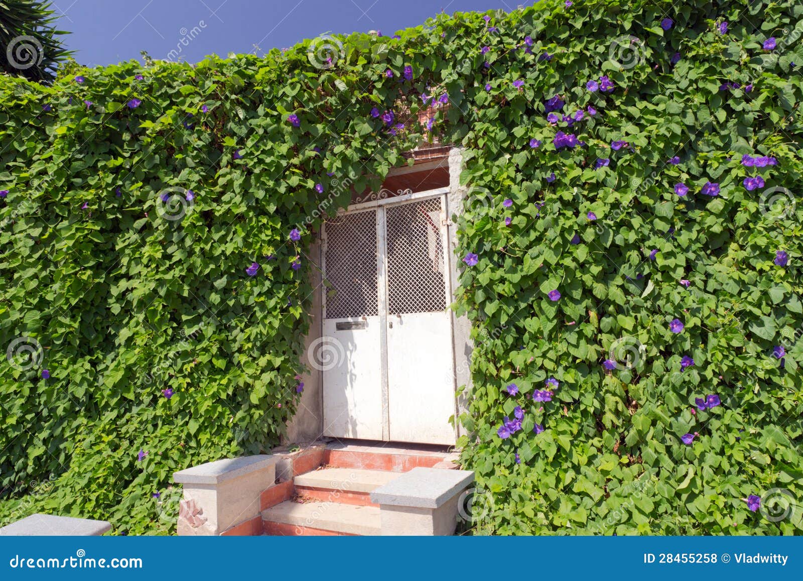 Nature door stock photo. Image of antique, hinge, rural - 28455258