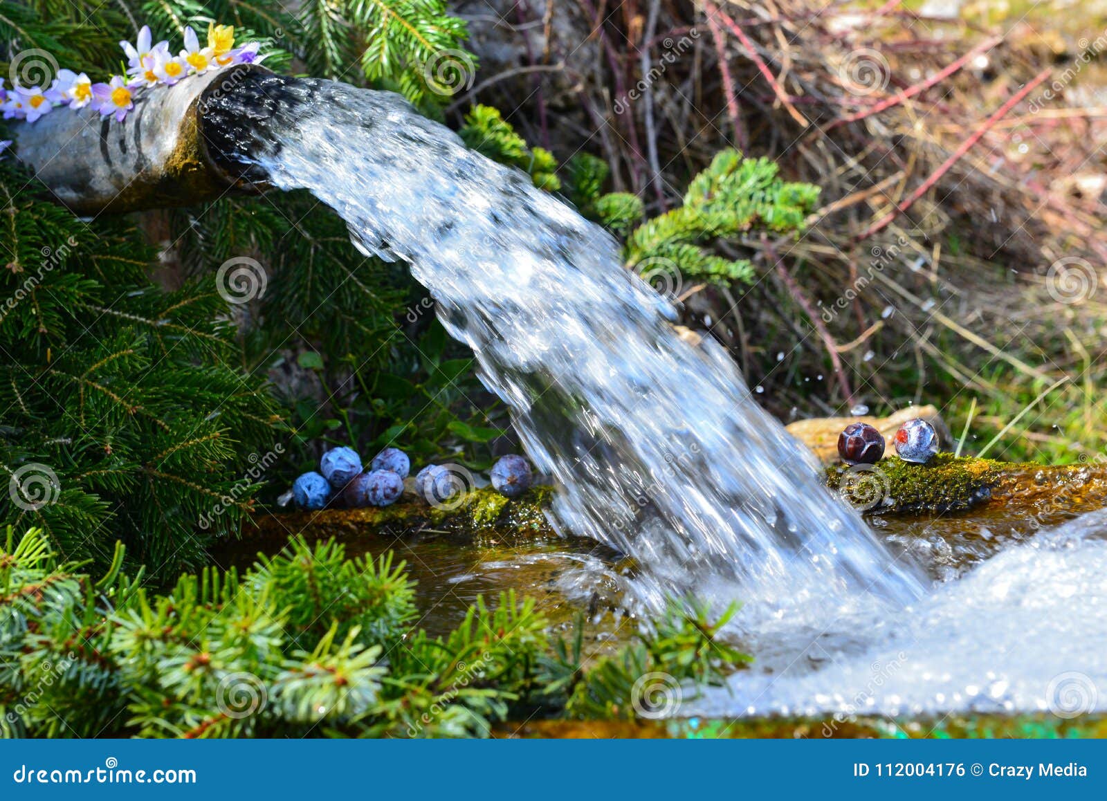 Nature Drinking Water Back Texture Stock Photo - Image of japan, pure ...