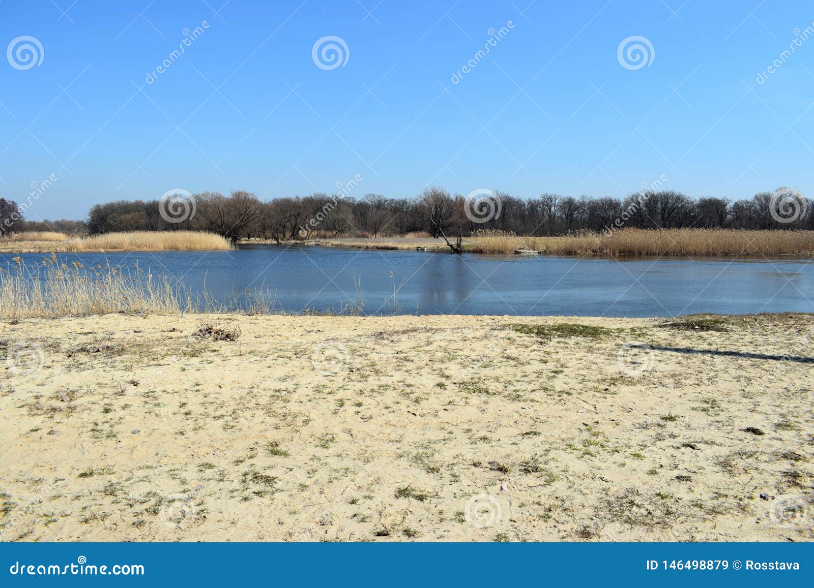 Nature in early spring stock image. Image of cloud, calm - 146498879