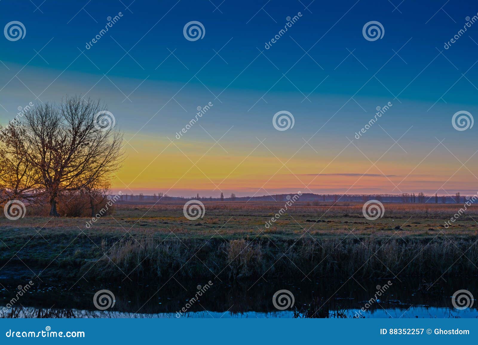 Nature in early spring stock image. Image of tree, nature - 88352257