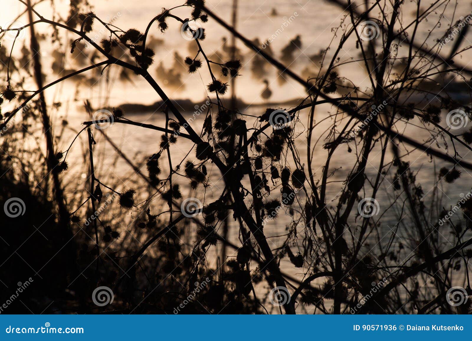Nature in early spring. stock photo. Image of sunlight - 90571936