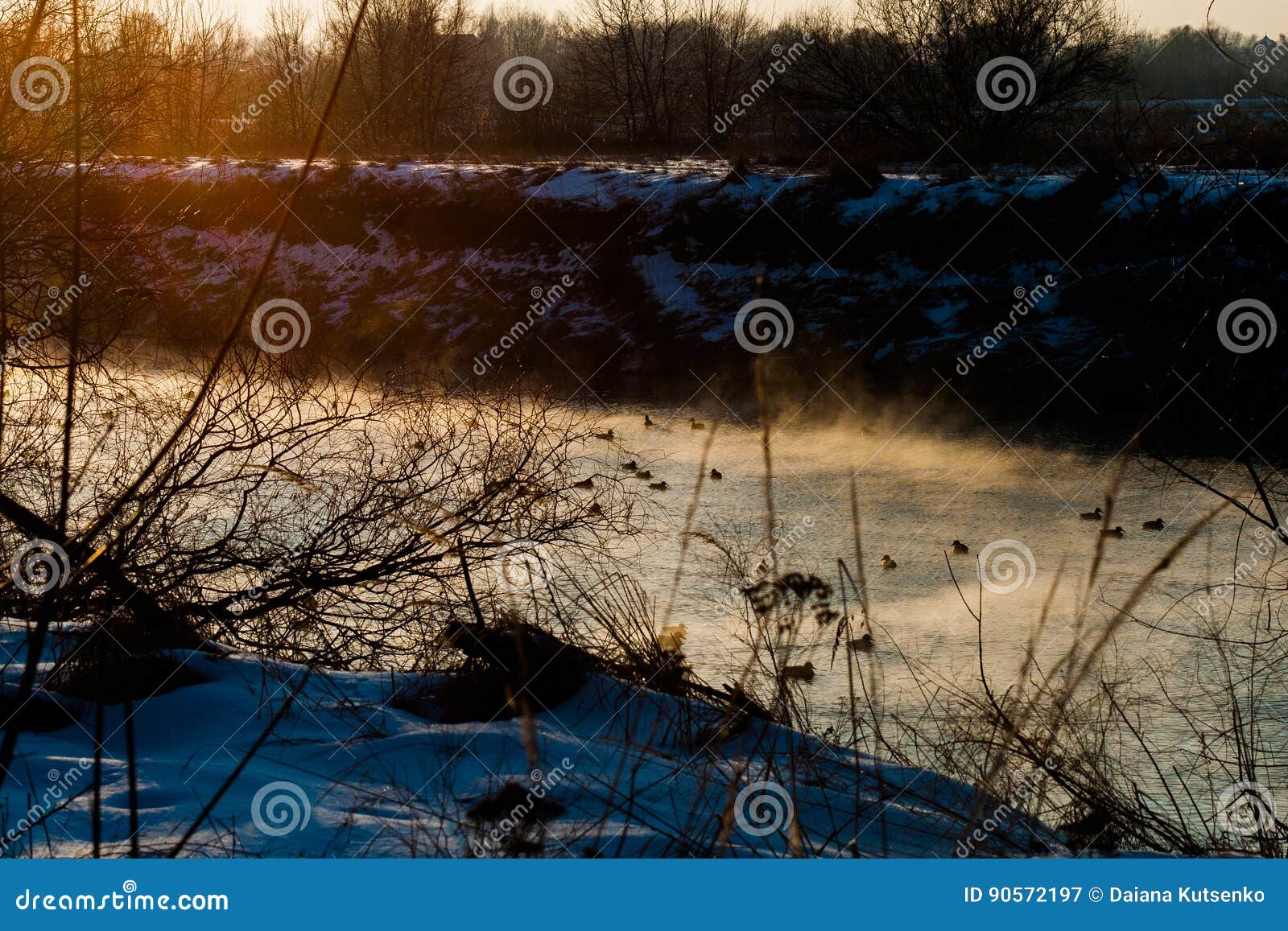 Nature in early spring. stock image. Image of sunlight - 90572197