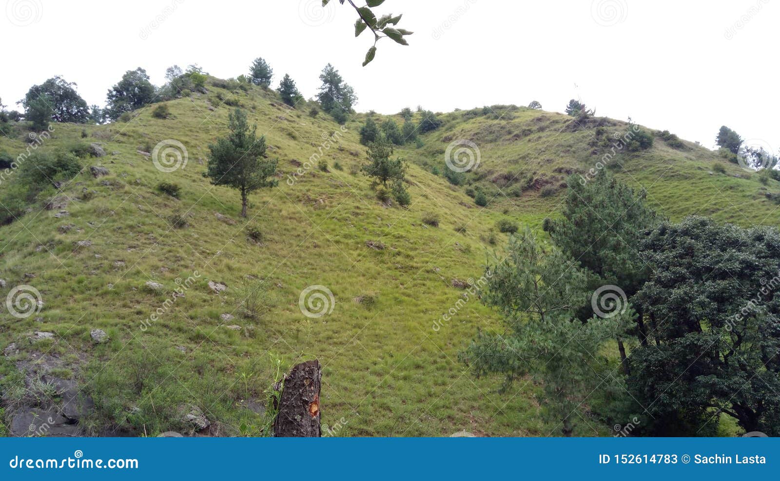 Nature of earth` stock image. Image of nature, environmental - 152614783