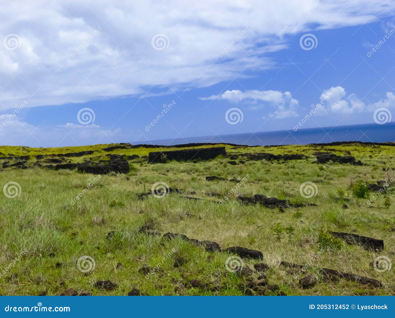Nature of Easter Island, Landscape, Vegetation and Coast Stock Photo ...