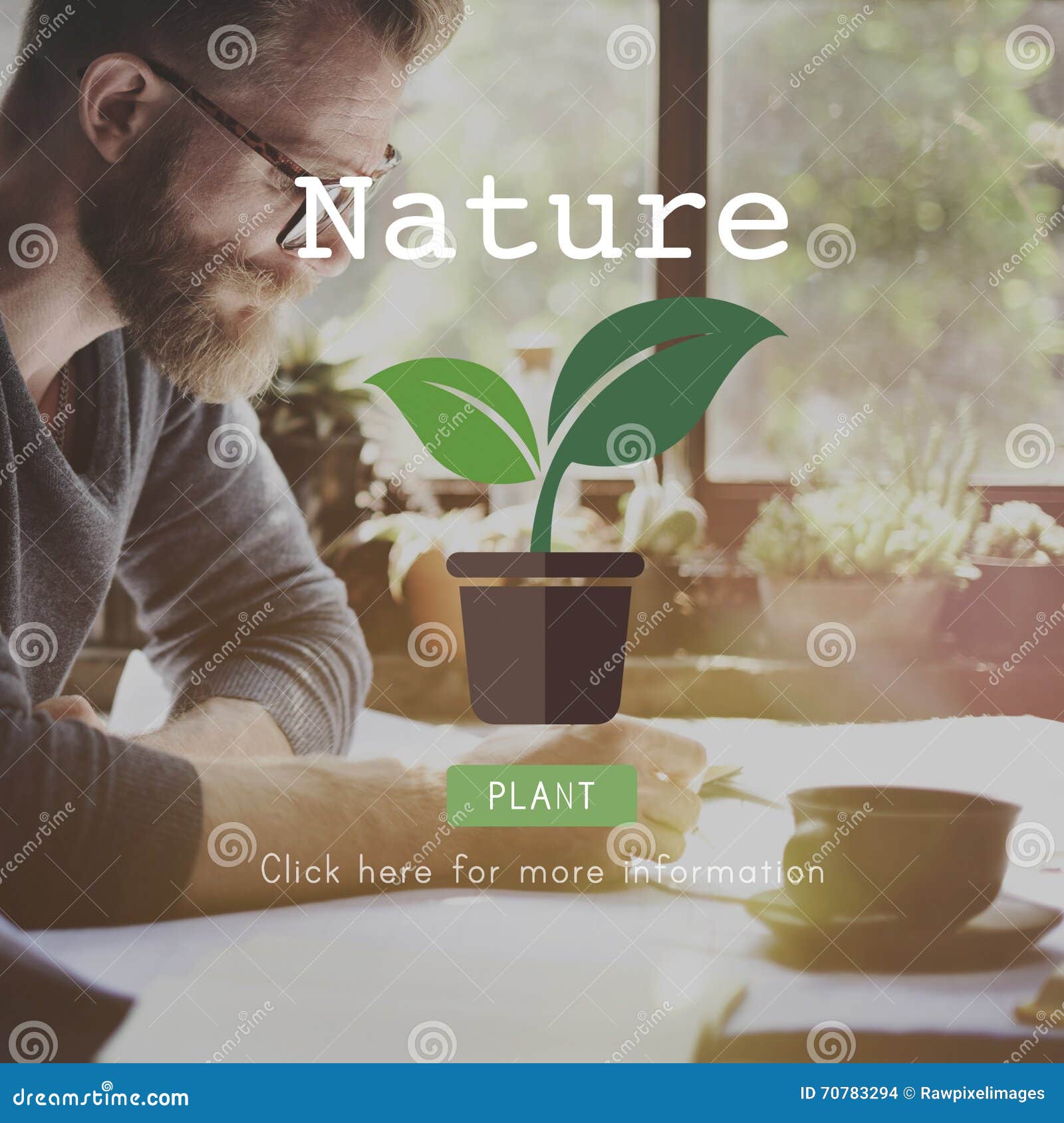 Nature Ecology Environmental Conservation Natural Concept Stock Photo ...