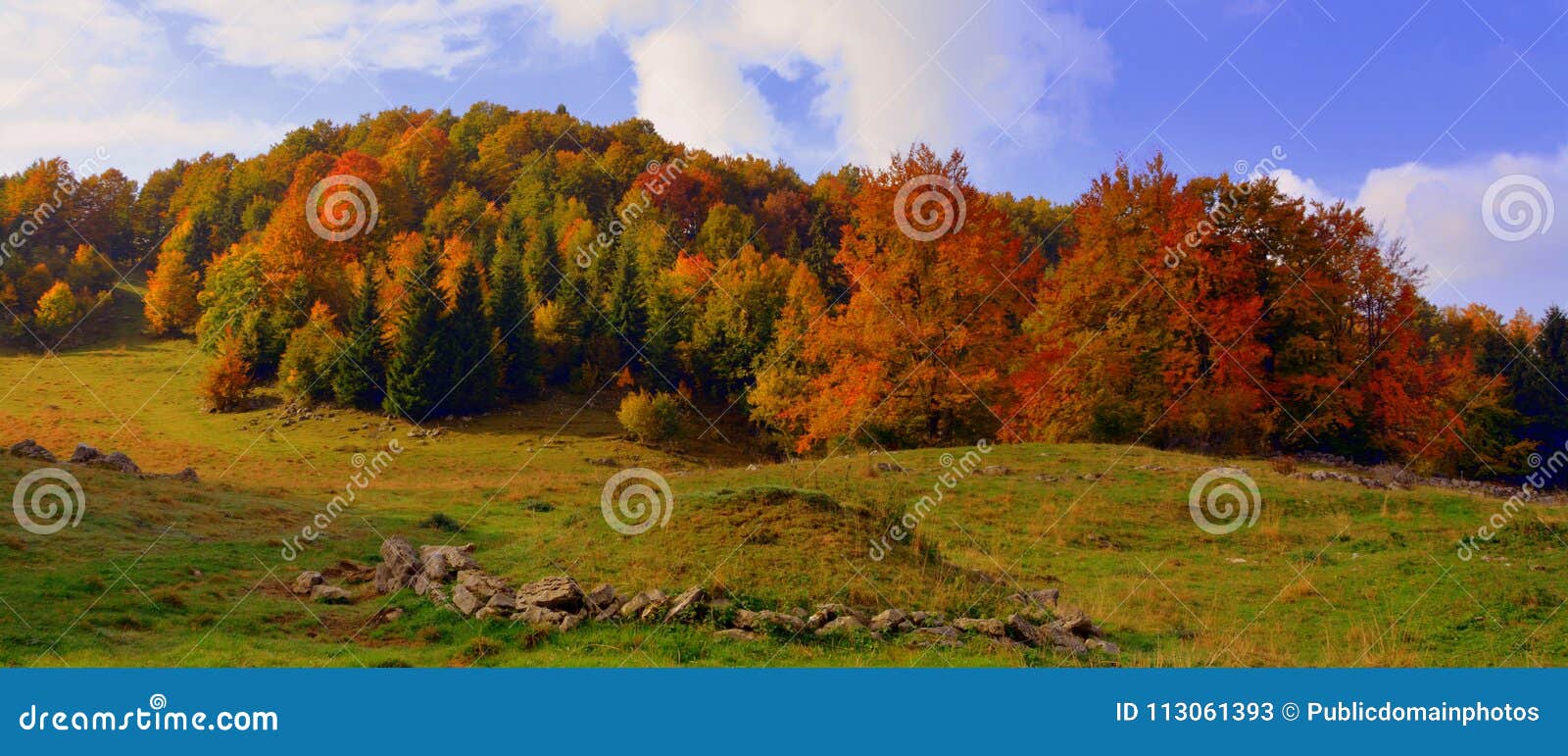 Nature, Ecosystem, Temperate Broadleaf And Mixed Forest, Nature Reserve ...