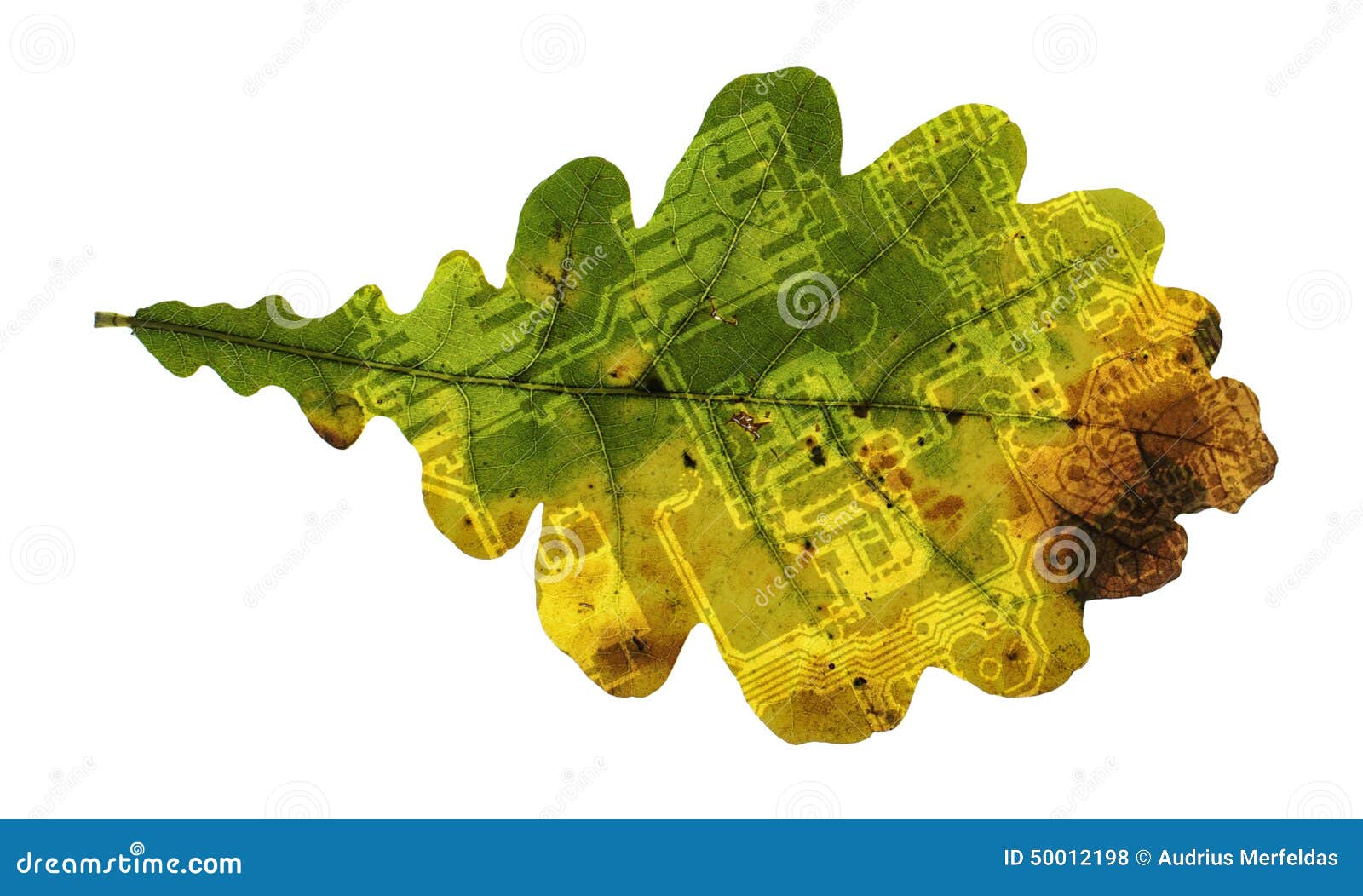 Nature and Electronics Science Stock Photo - Image of nanotechnology ...