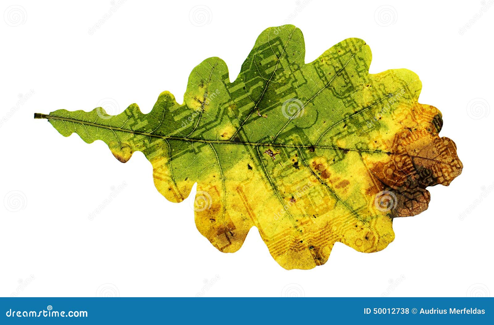 Nature and Electronics Science Stock Photo - Image of natural, color ...