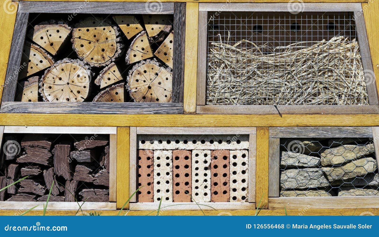 Nature enclosed. stock photo. Image of varied, objects - 126556468