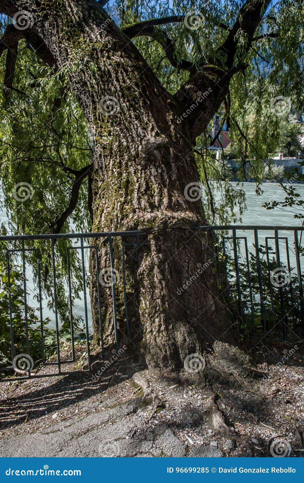 Nature Engulfs Civilization Stock Image - Image of gulp, engulf: 96699285