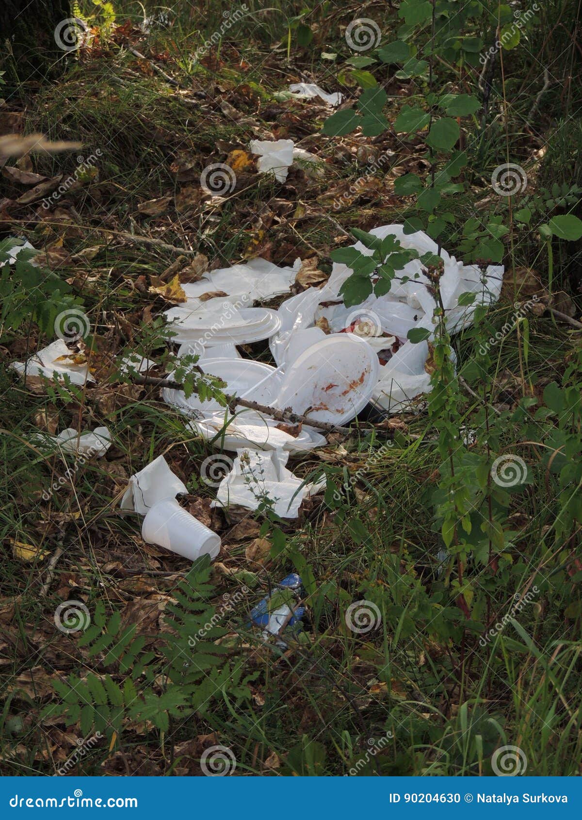 Nature Environmental Pollution Forest Disposable Garbage Stock Photo ...