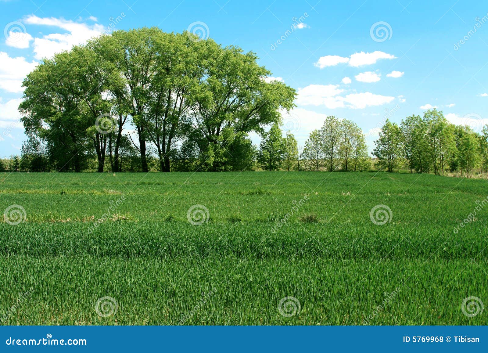 Nature escape stock photo. Image of clouds, vegetation - 5769968
