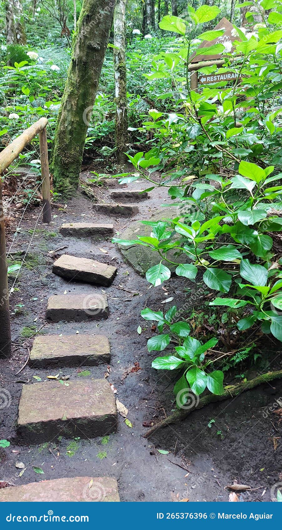 Nature Expects You To Respect Her Stock Photo - Image of green, nature ...