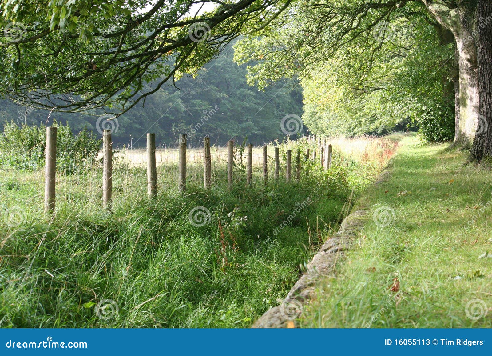 Nature Fence stock image. Image of sunshine, fence, field - 16055113