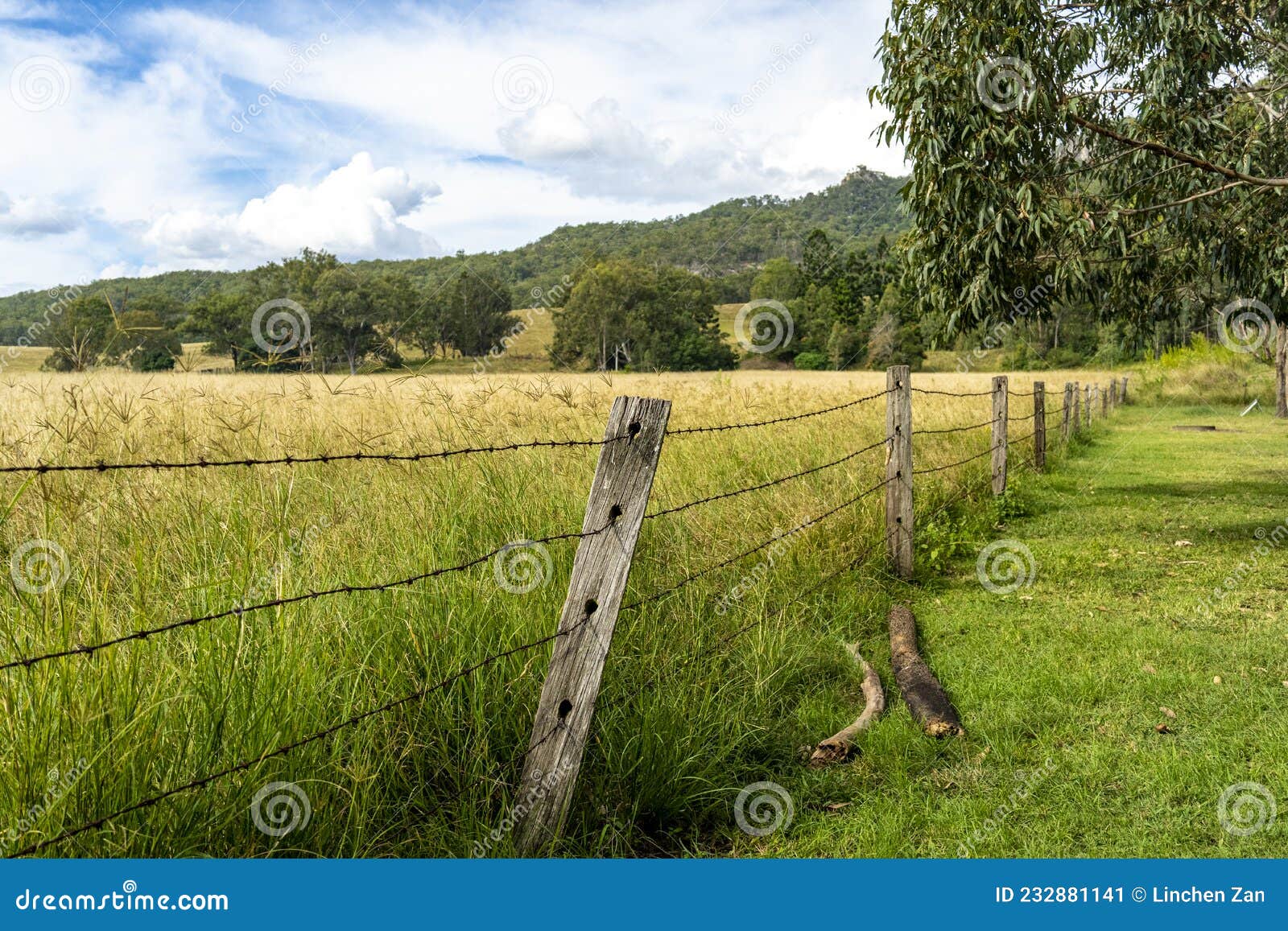Nature fence stock image. Image of rural, fence, plant - 232881141