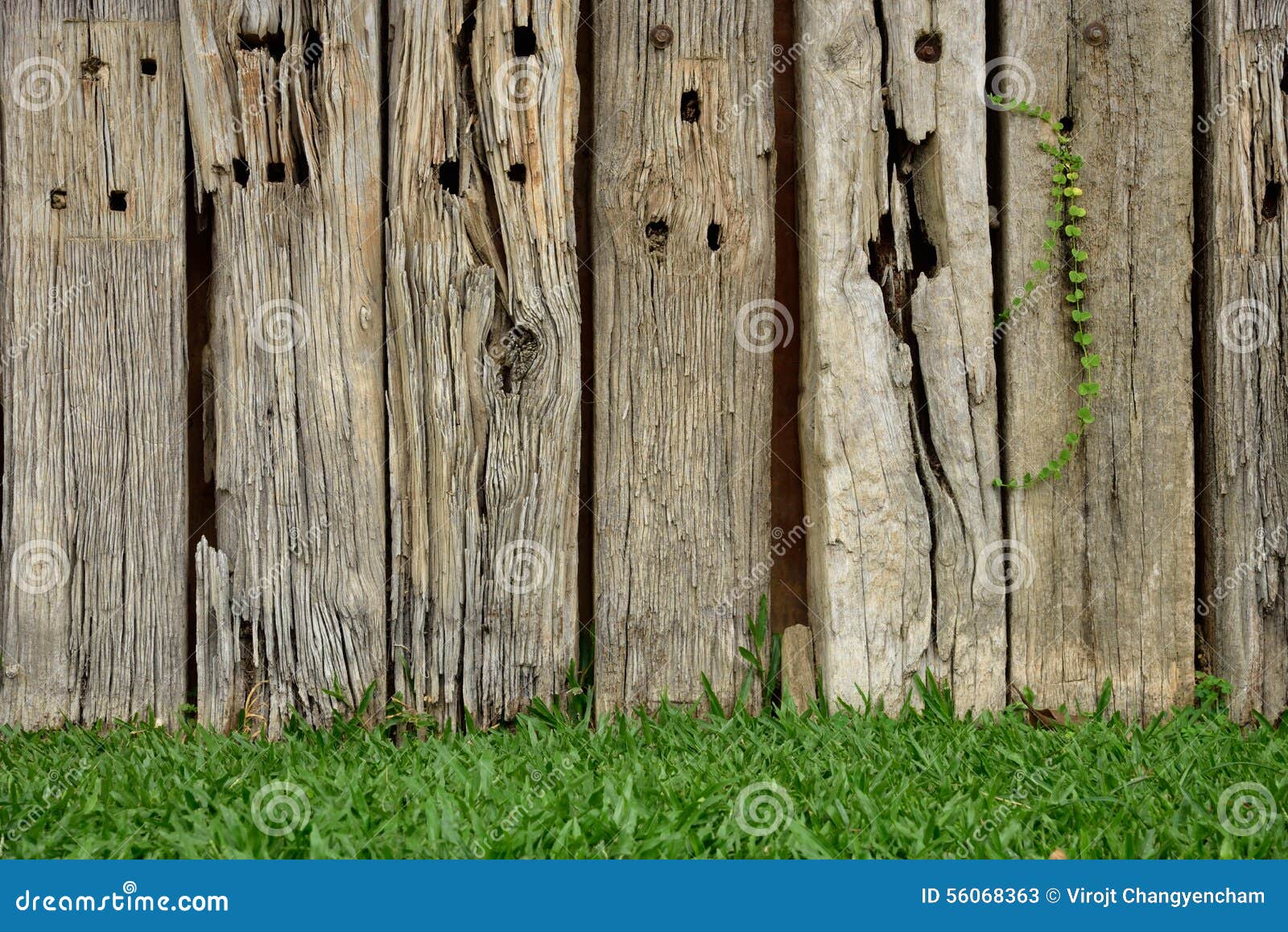 Nature fence stock image. Image of boarded, hardwood - 56068363