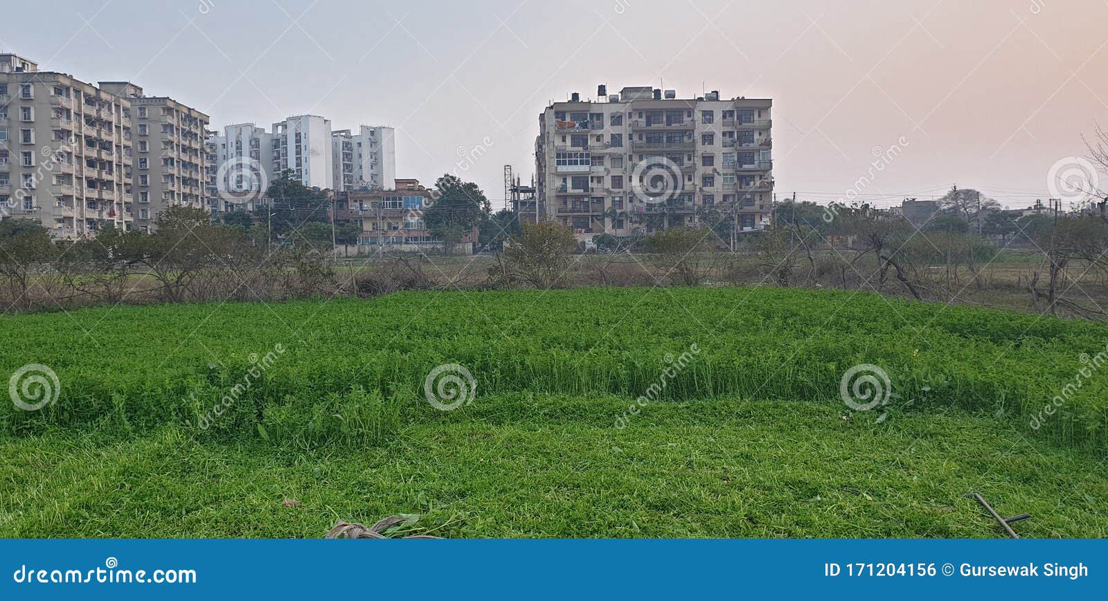 Nature Fields of Small Town Stock Photo - Image of town, view: 171204156