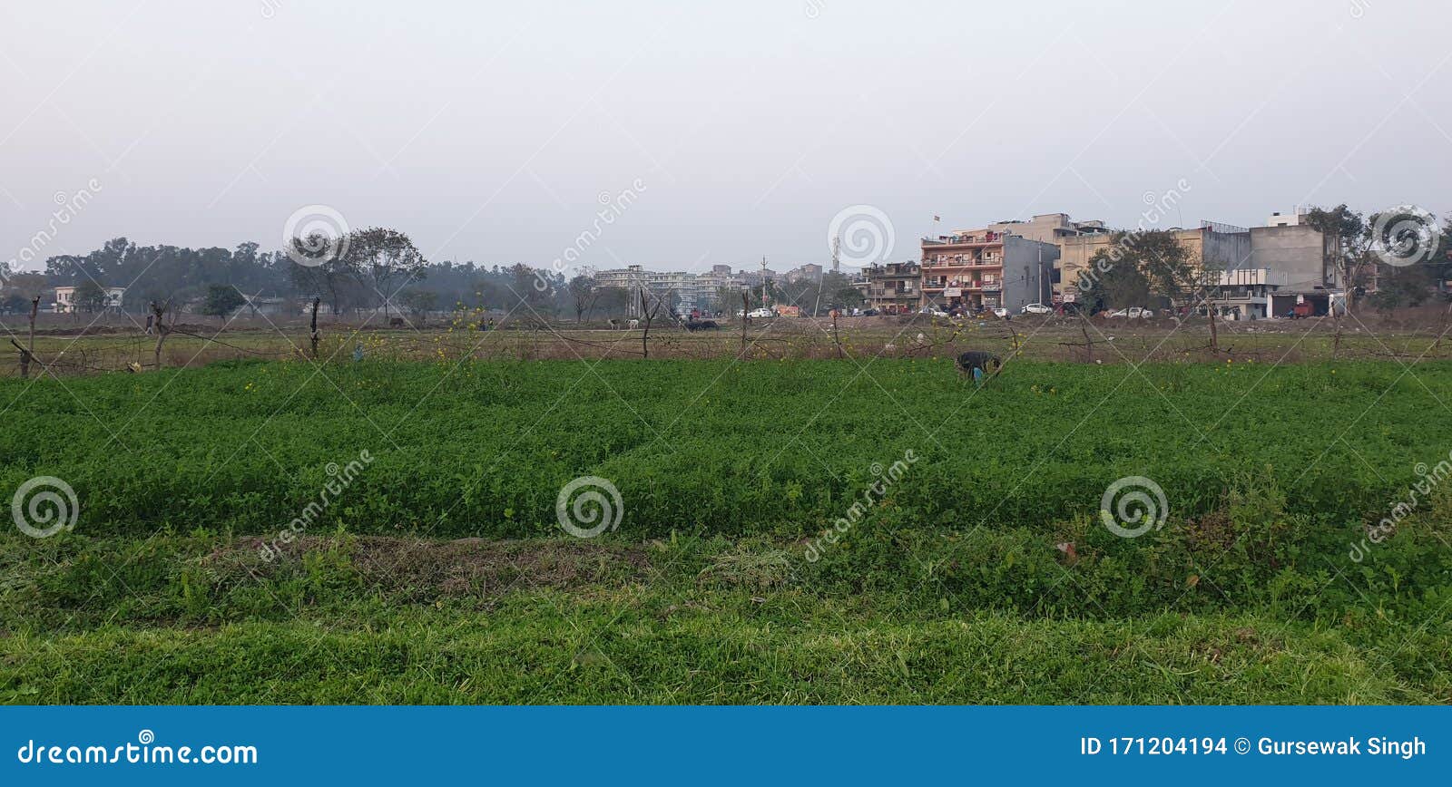 Nature Fields of Small Town Stock Photo - Image of view, greenery ...