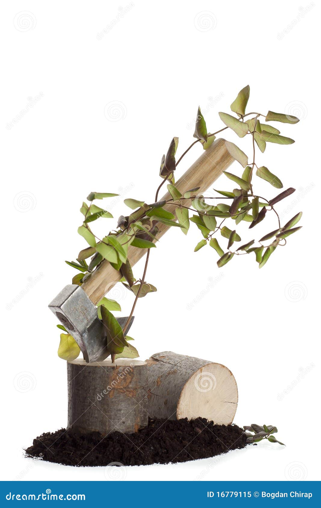 Nature fights back stock image. Image of tree, heavy - 16779115