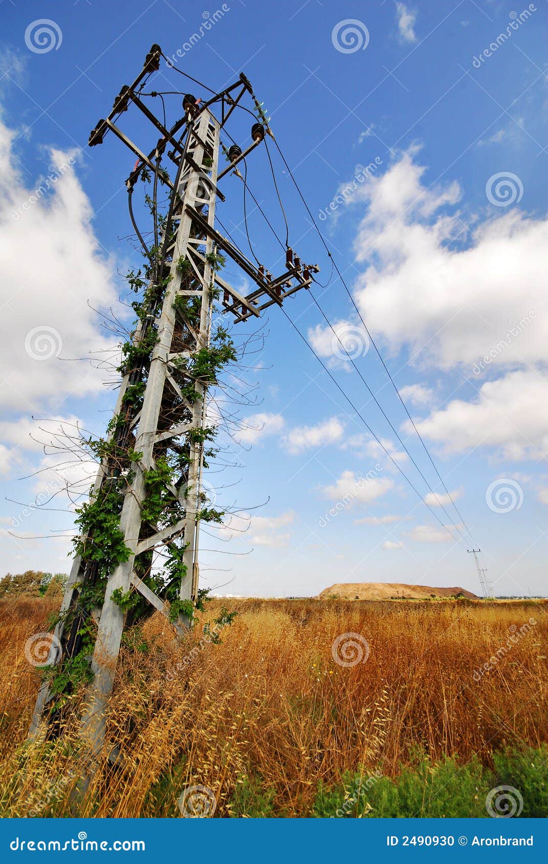 Nature Fights Back (Concept) - Stock Photo - Image of powerline, field ...