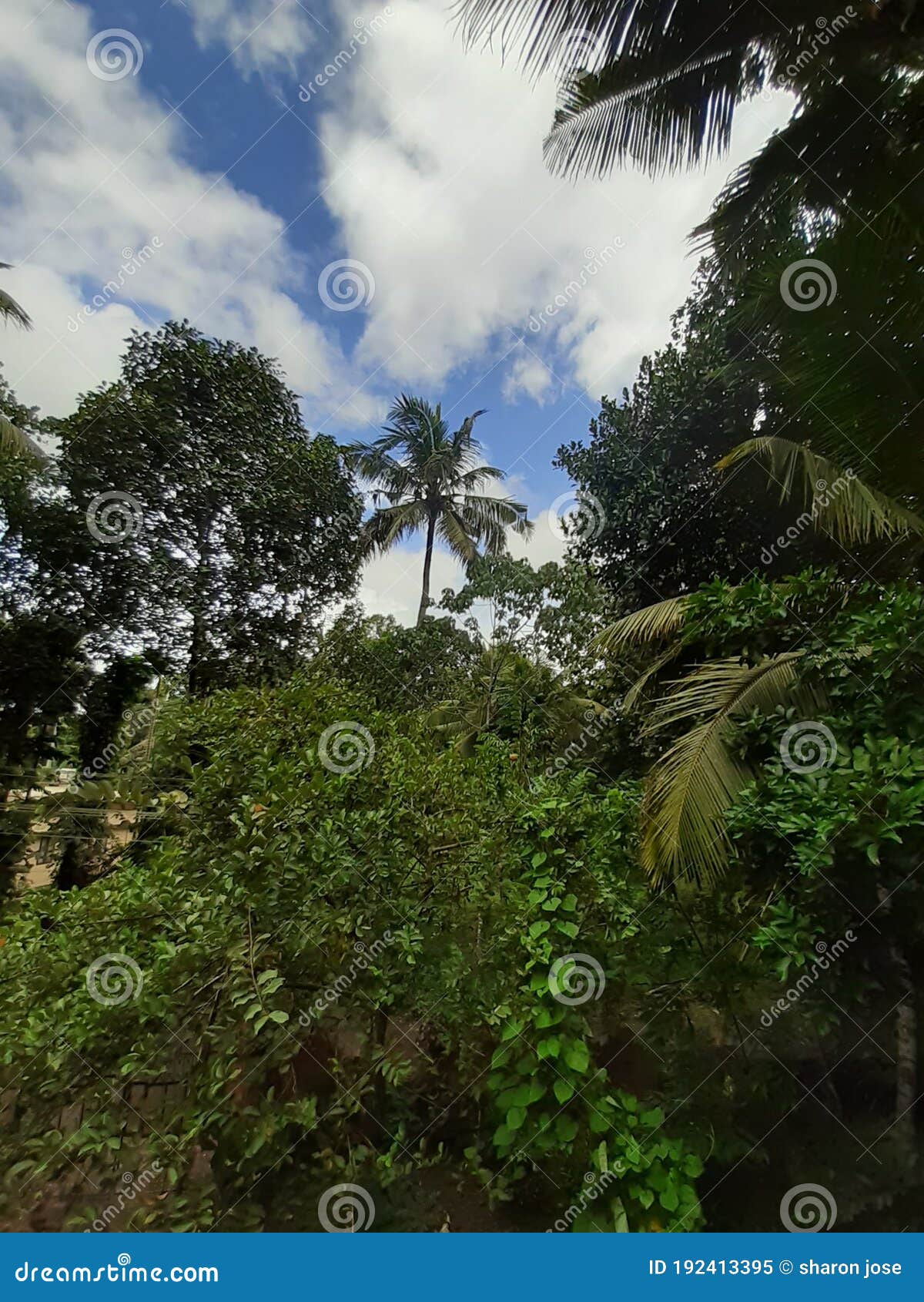 Nature filled with JOY stock image. Image of nature - 192413395