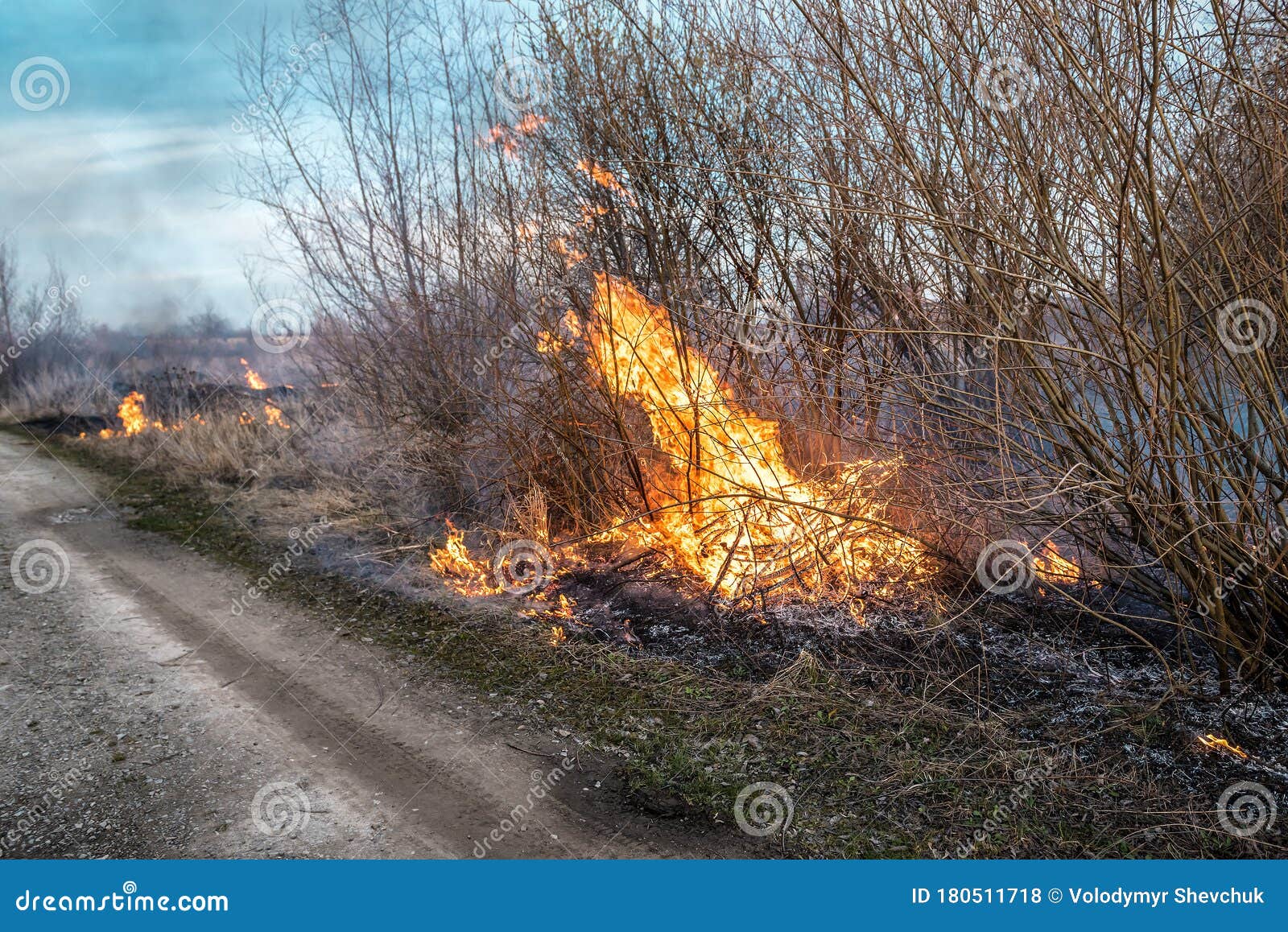 Nature in fire stock photo. Image of fire, emergency - 180511718