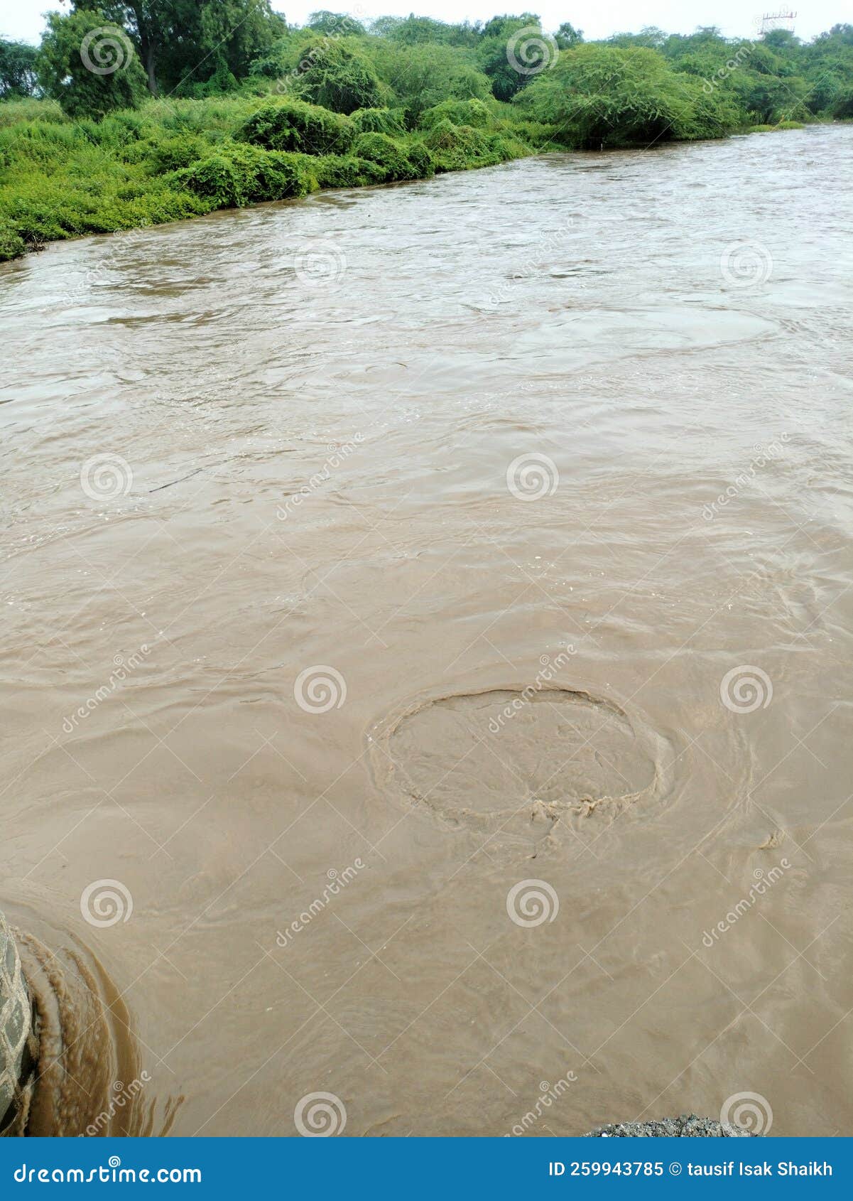 Nature Flowing River Water Scene. Stock Image - Image of river ...
