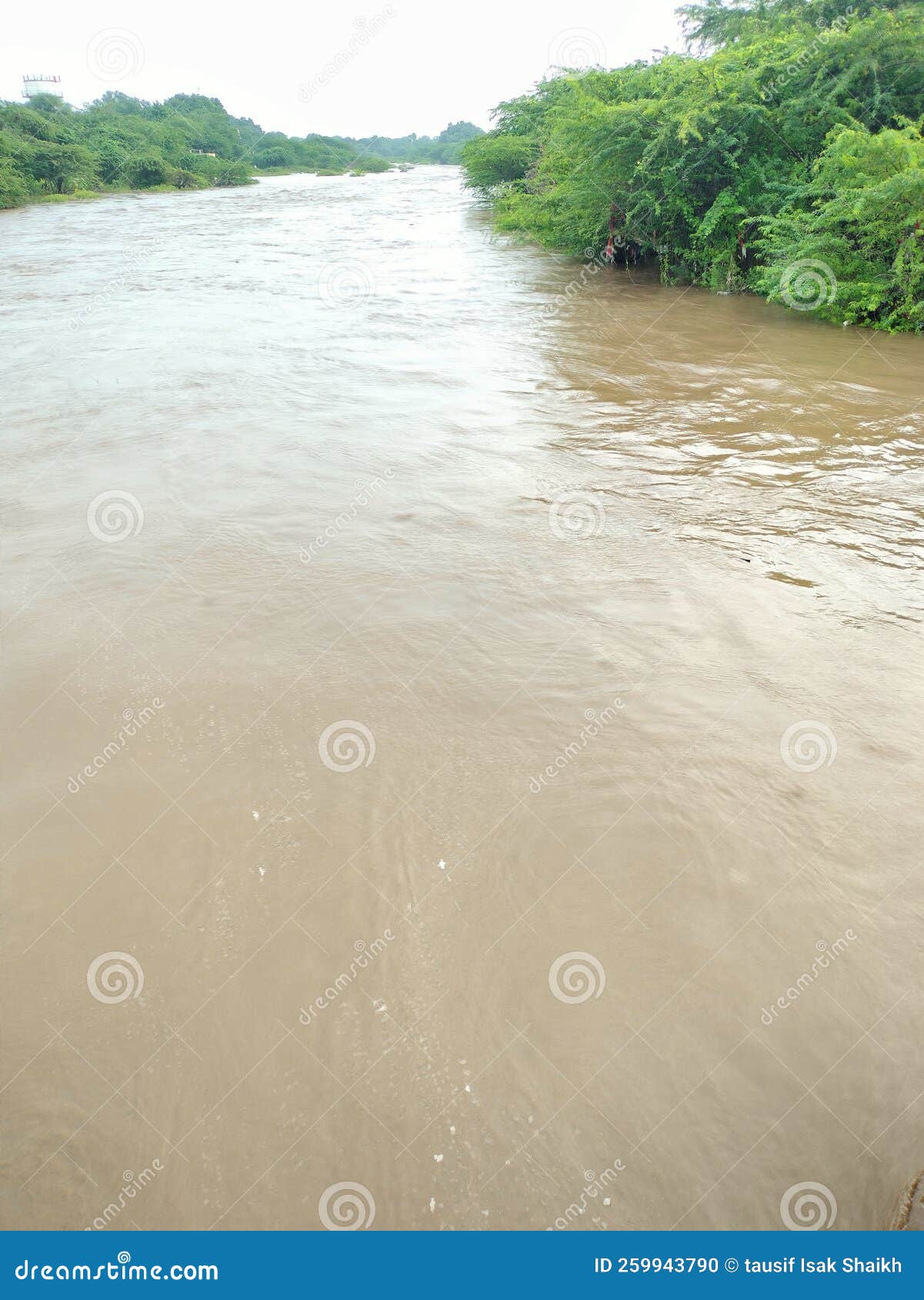 Nature Flowing River Water Scene Stock Photo - Image of india, floor ...