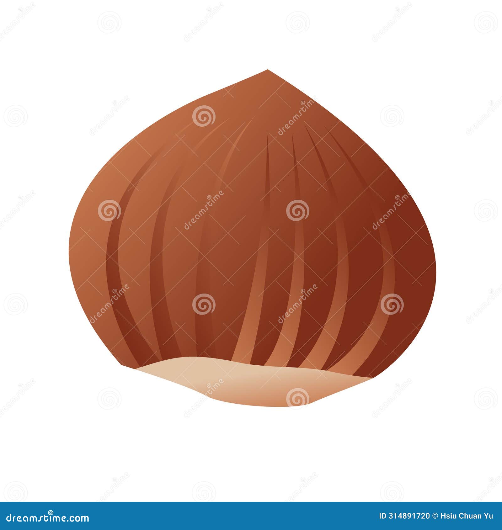 Nature Food Nuts Chestnut Cartoon Vector Isolated Illustration Stock ...