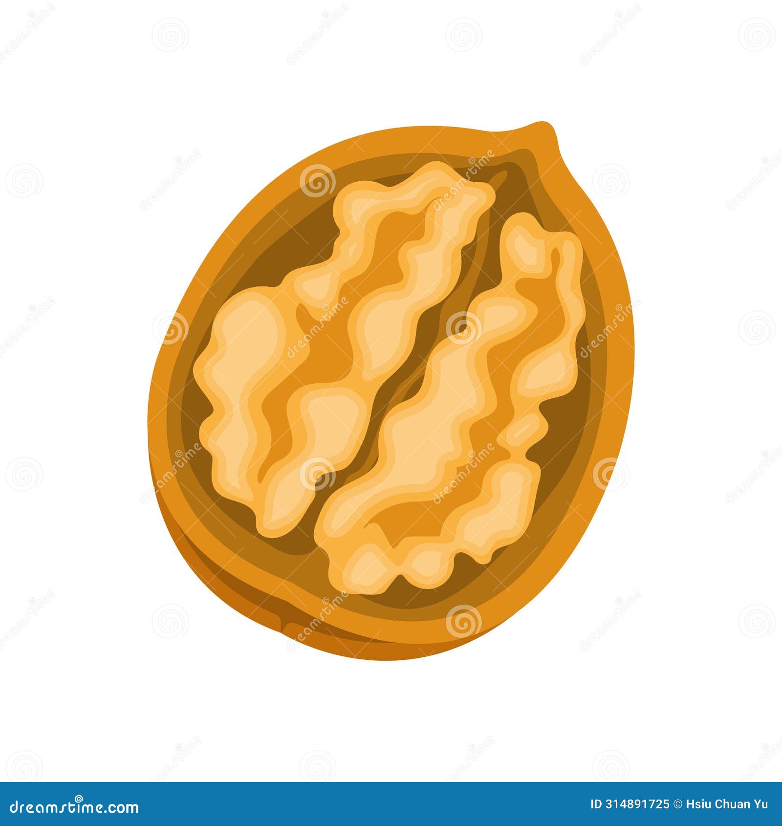 Nature Food Nuts Opened Walnut Cartoon Vector Isolated Illustration ...