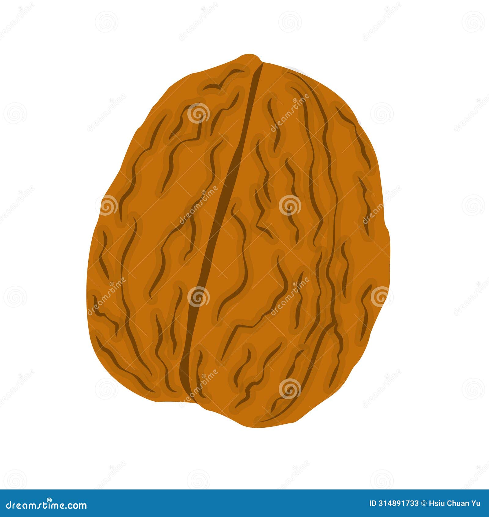 Nature Food Nuts Walnut Cartoon Vector Isolated Illustration Stock ...