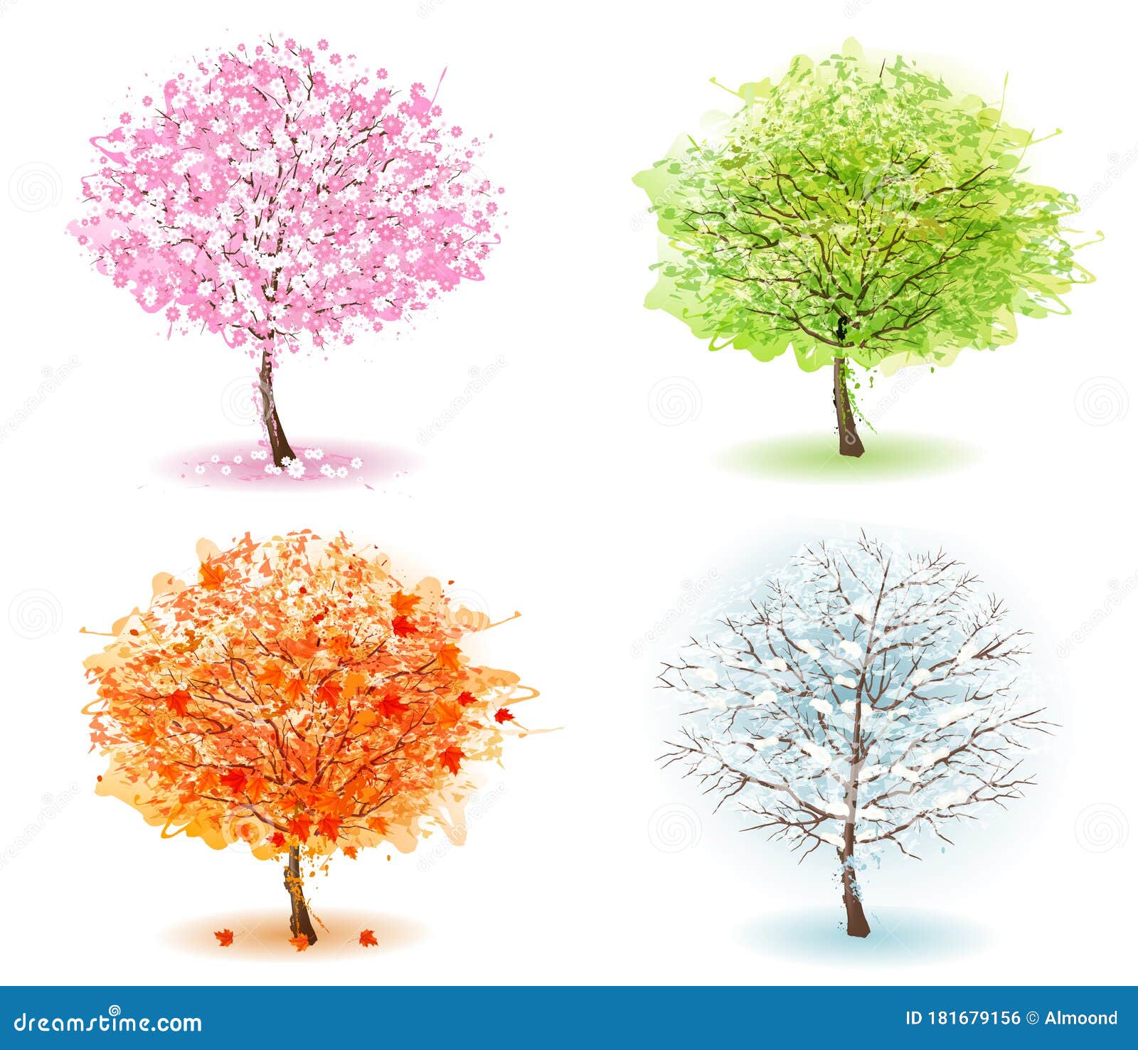 Different Seasons Deciduous Trees Top View Collection Isolated On White ...