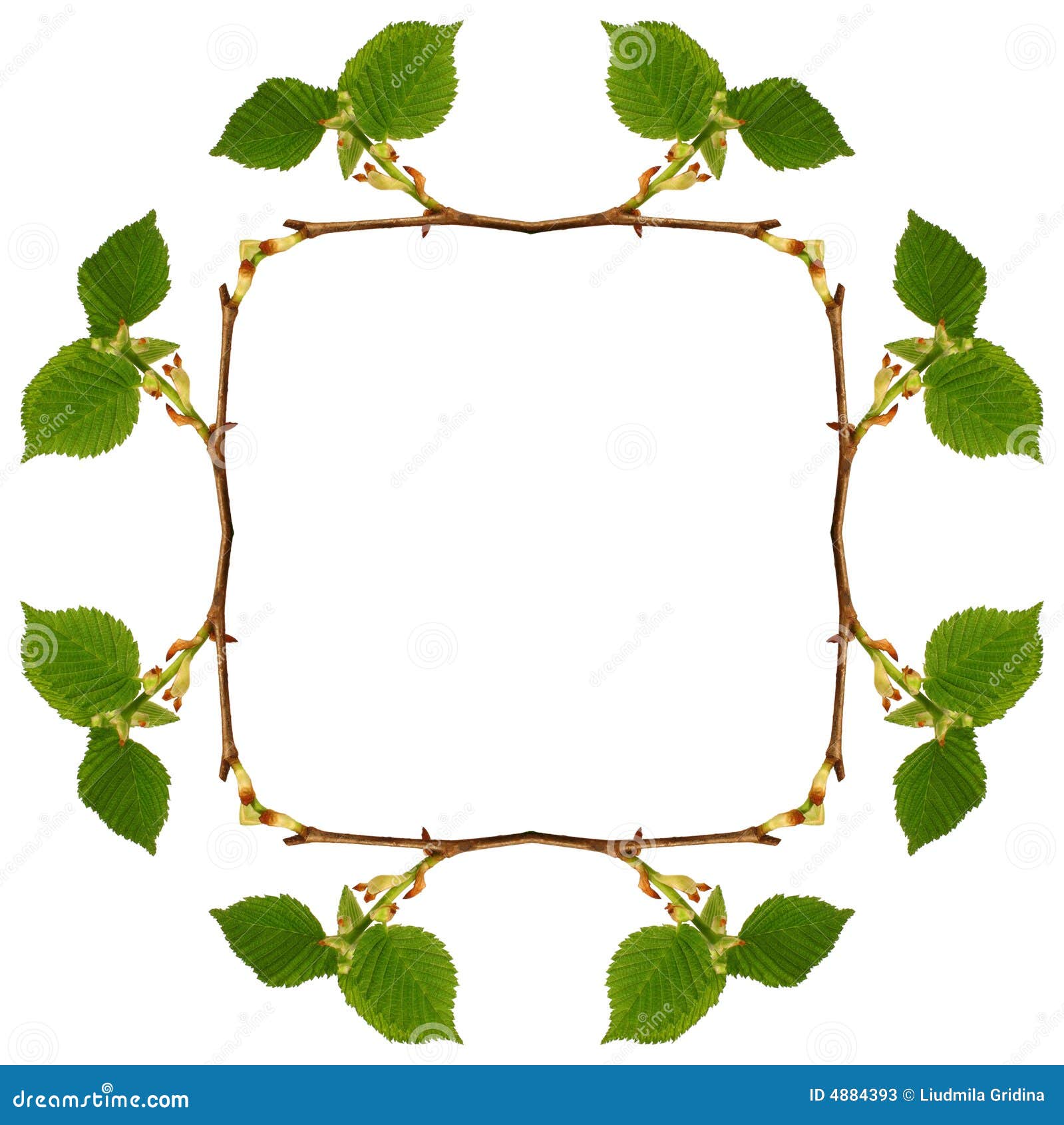 Nature frame stock image. Image of floral, life, gardening - 4884393