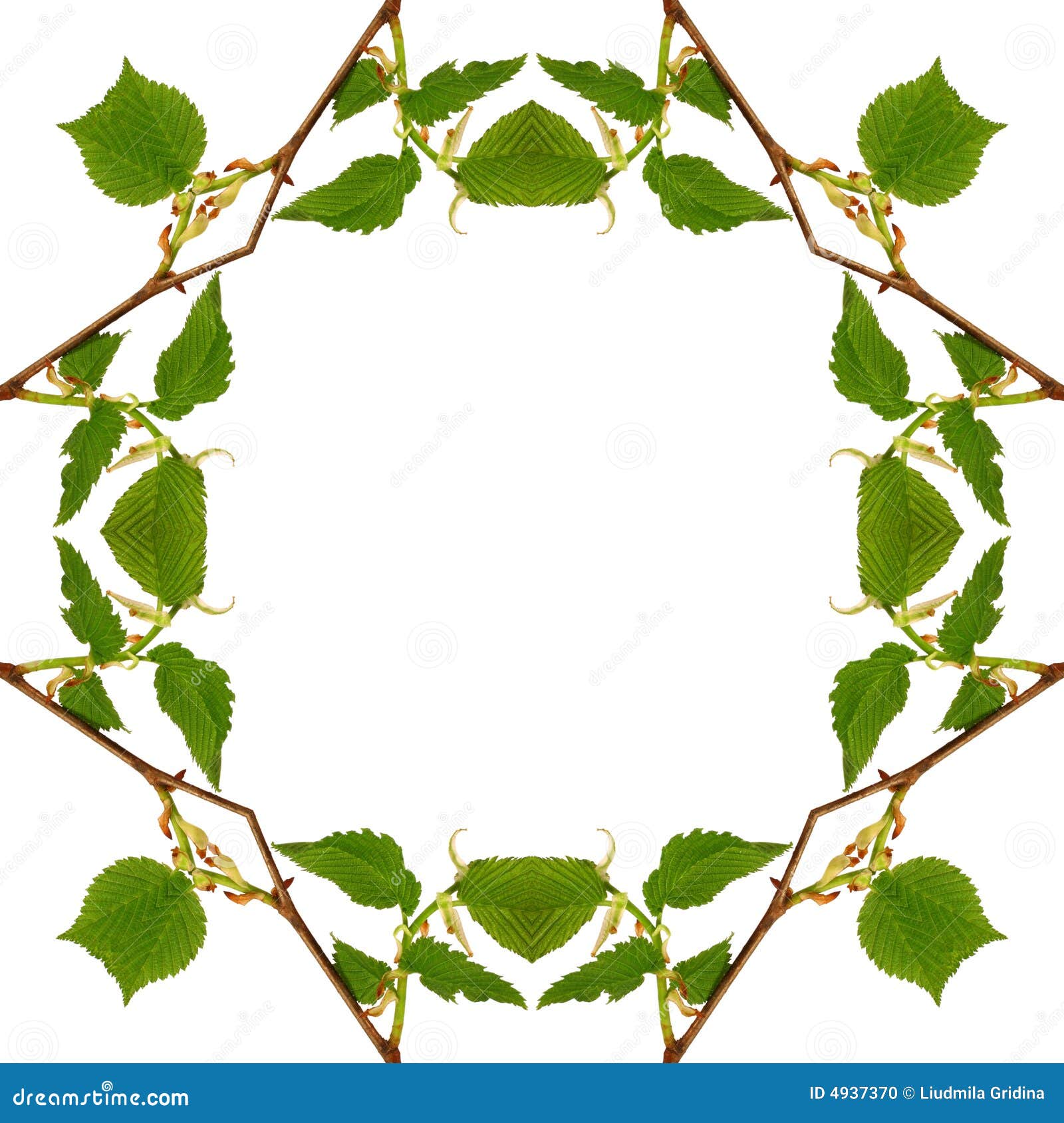 Nature frame stock photo. Image of outdoor, abstract, bordered - 4937370