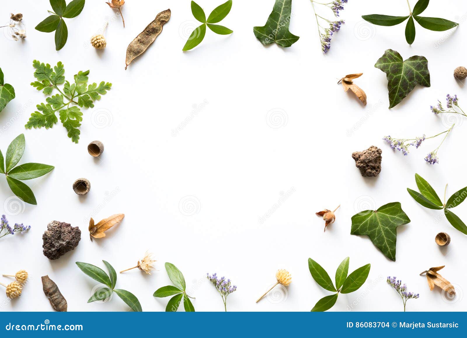 Nature Frame stock photo. Image of background, decoration - 86083704