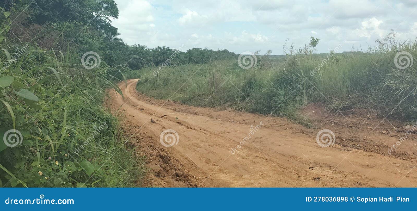 Nature Free of Air Pollution and Good Roads Stock Photo - Image of ...