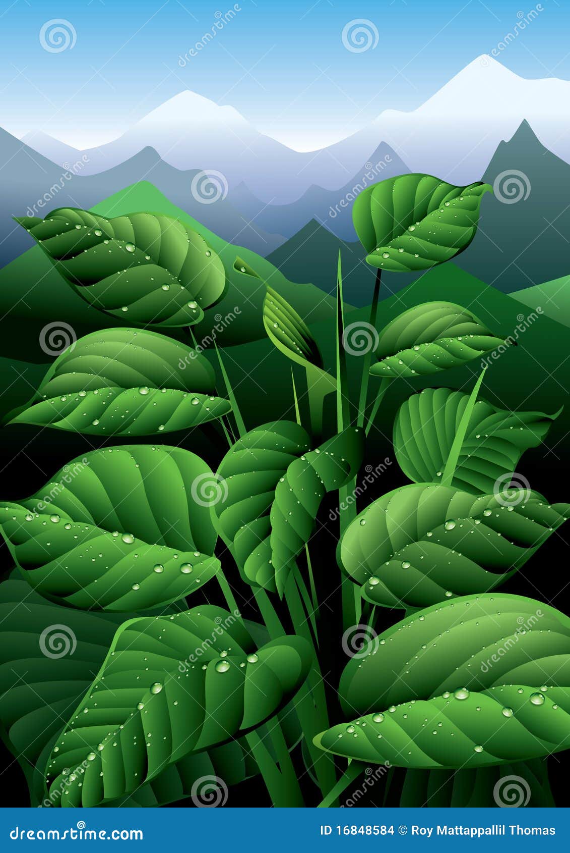 Nature Freshness stock vector. Illustration of heights - 16848584