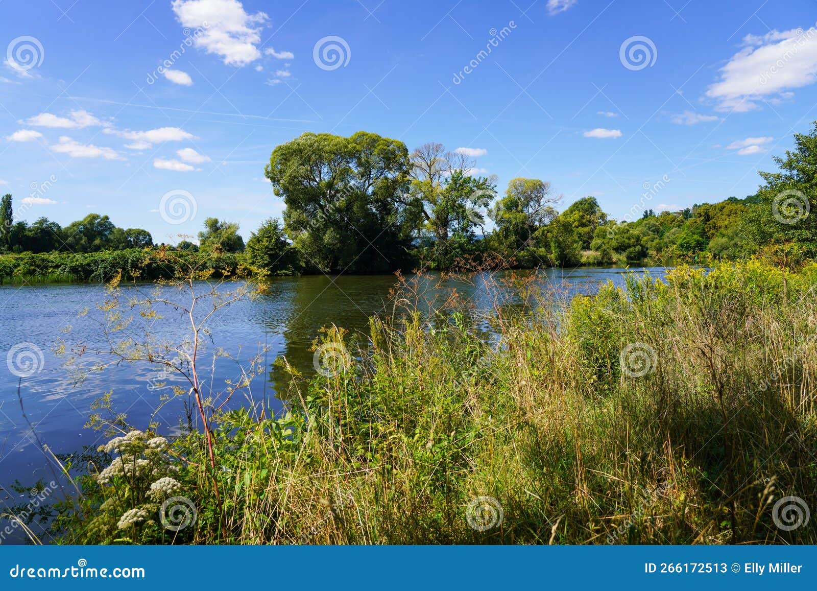 Nature at the Fulda stock image. Image of view, beautiful - 266172513