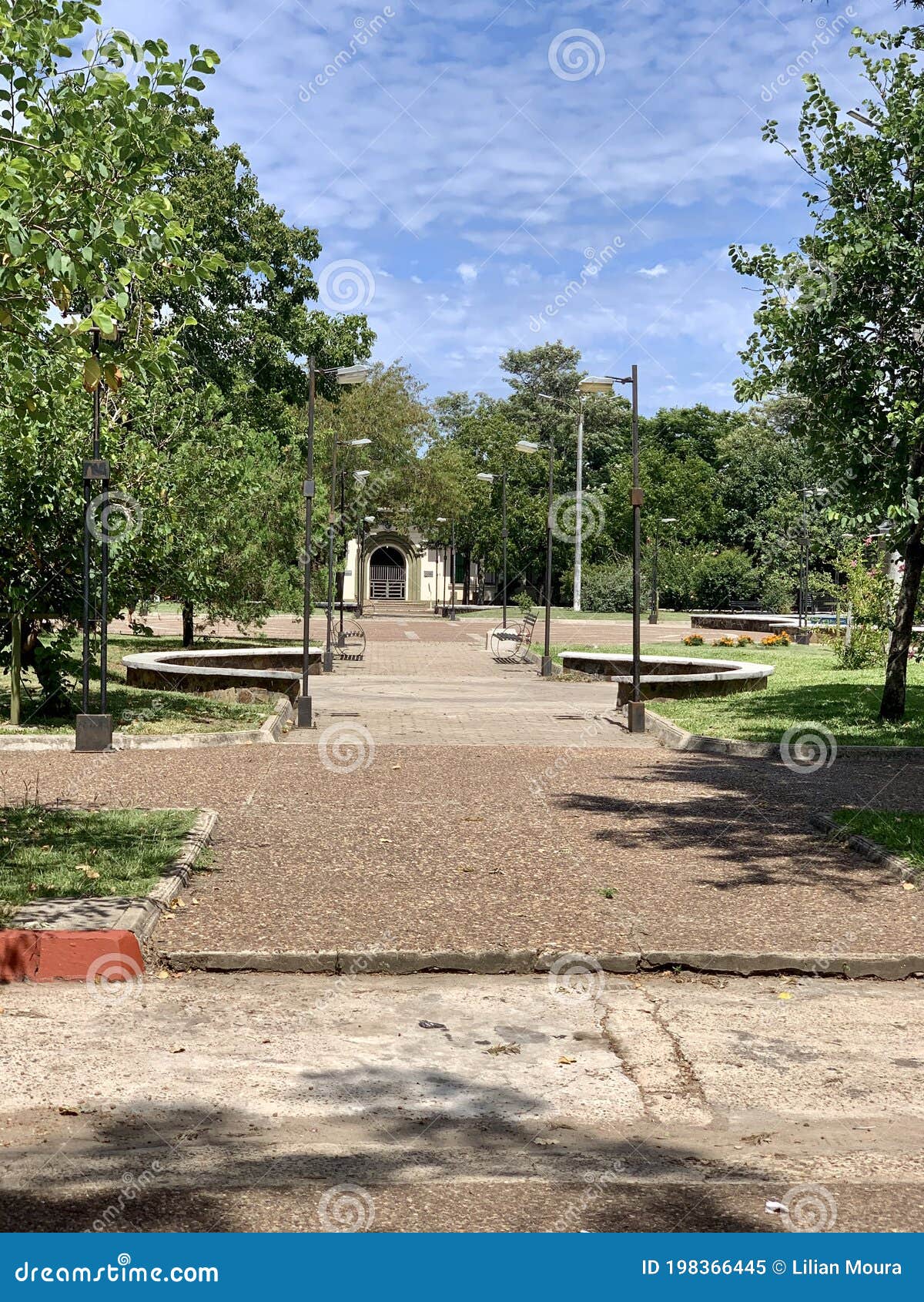 Park stock image. Image of park, tree, view, garden - 198366445