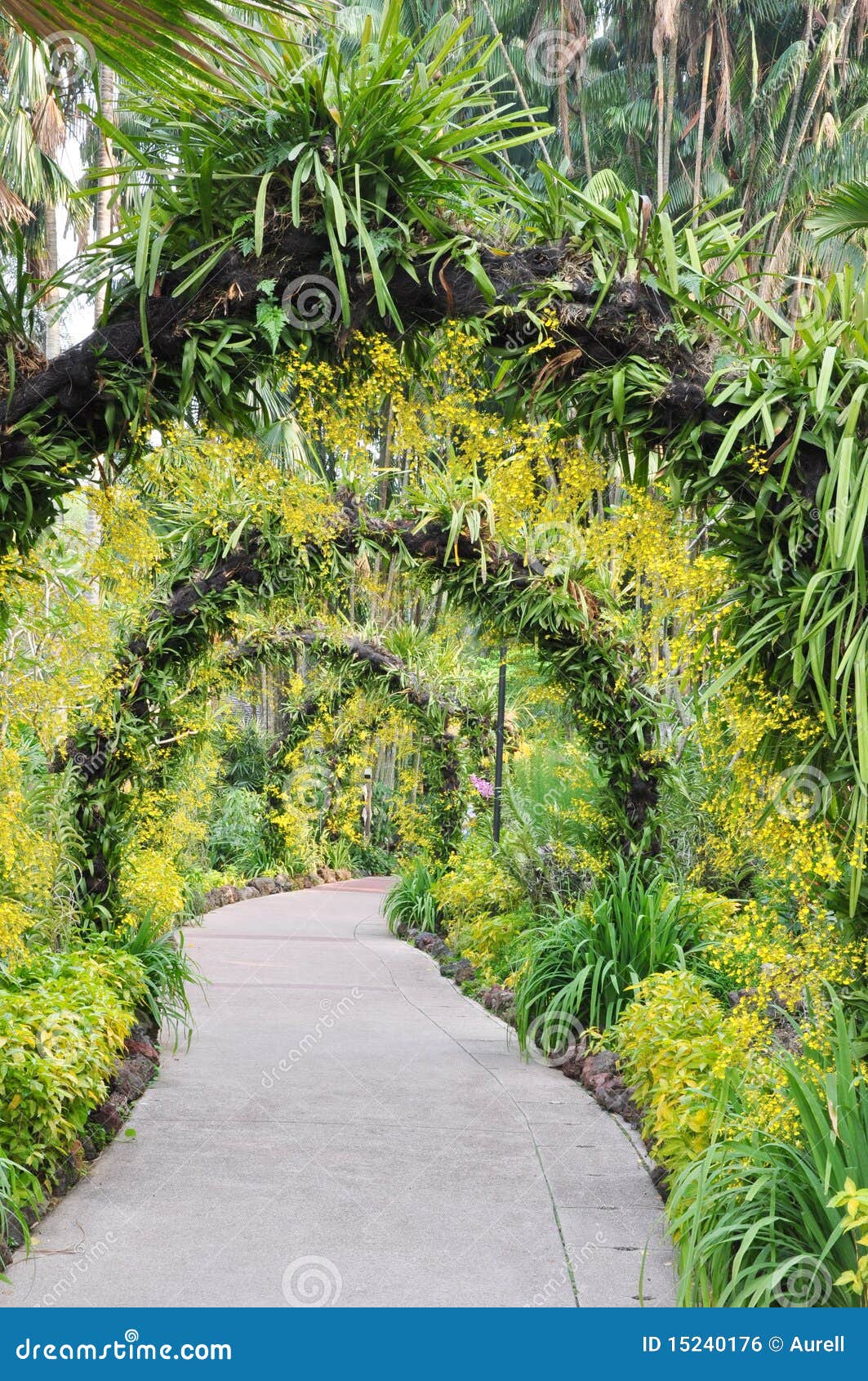 Nature-gate stock photo. Image of botanical, flower, forms - 15240176