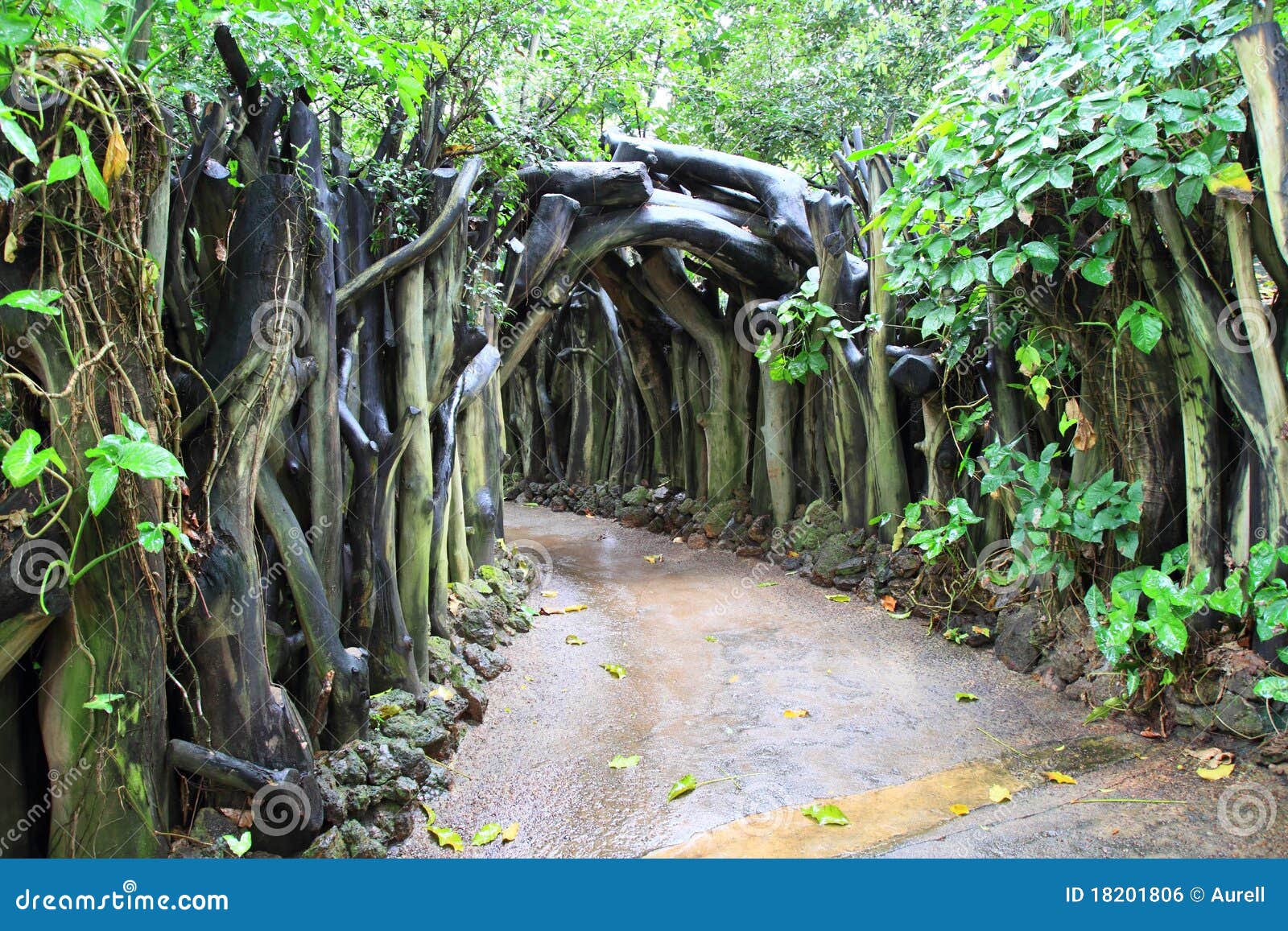Nature gate stock photo. Image of asia, wooden, tree - 18201806