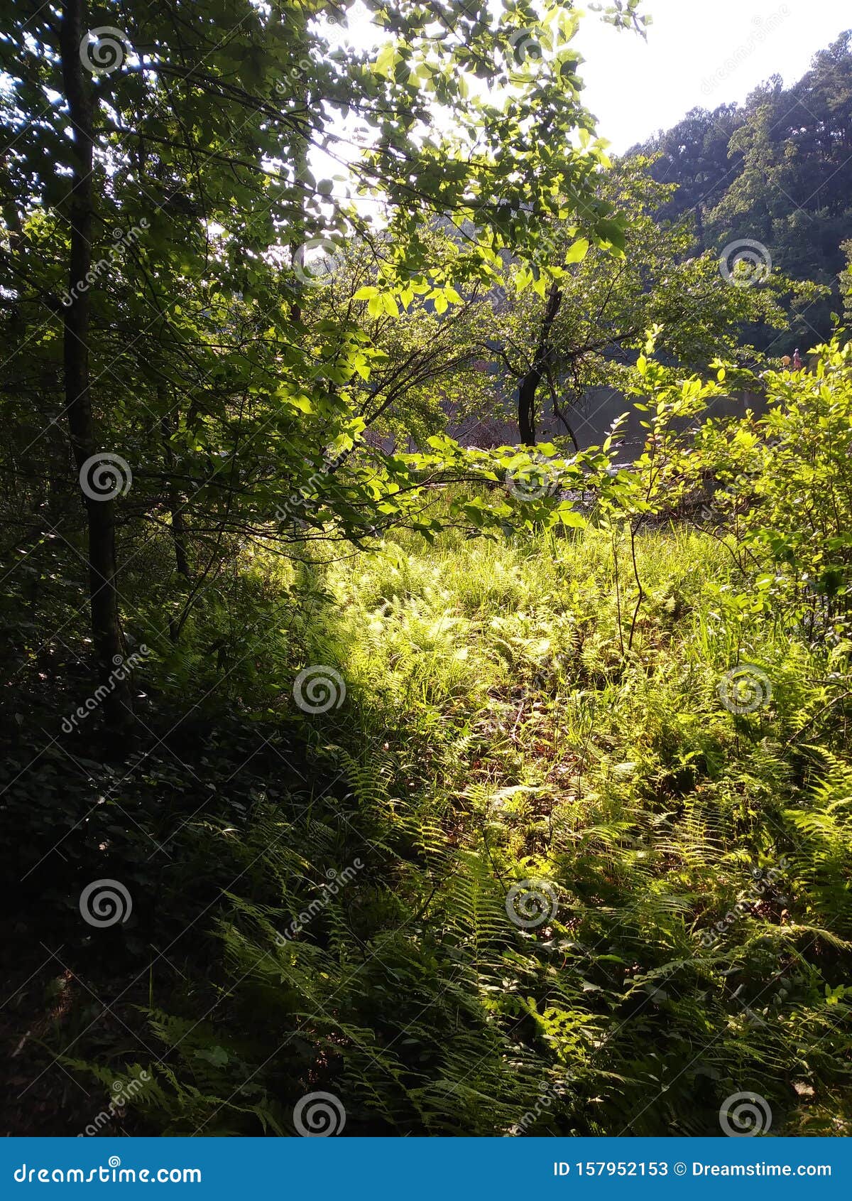 Georgia stock image. Image of earth, georgia, nature - 157952153