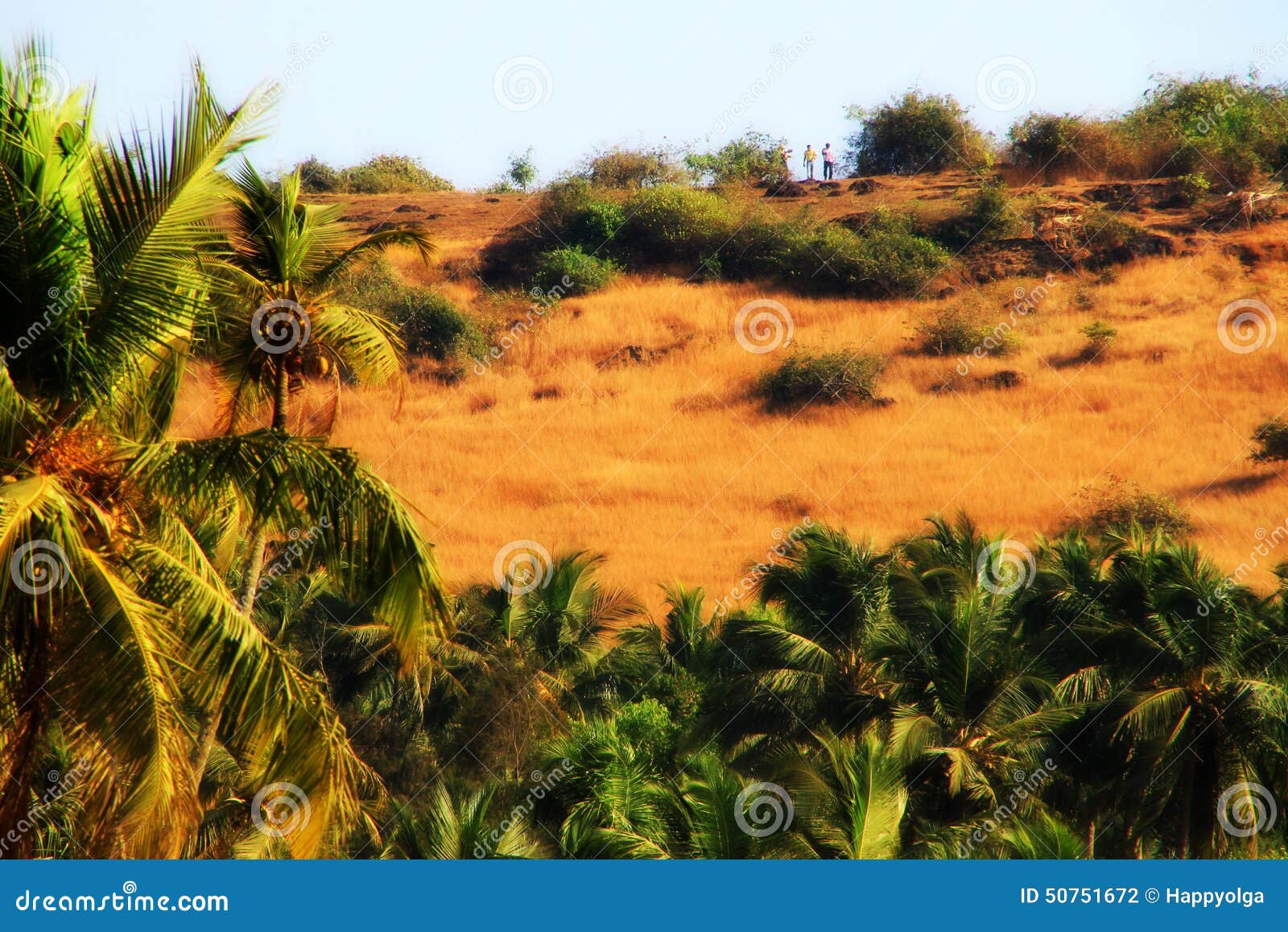 Nature on GOA stock photo. Image of season, glass, water - 50751672