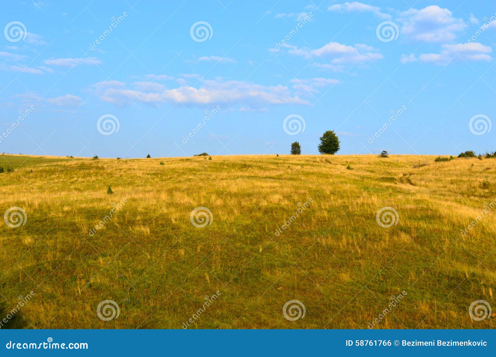 Nature gold landscape stock photo. Image of beautiful - 58761766