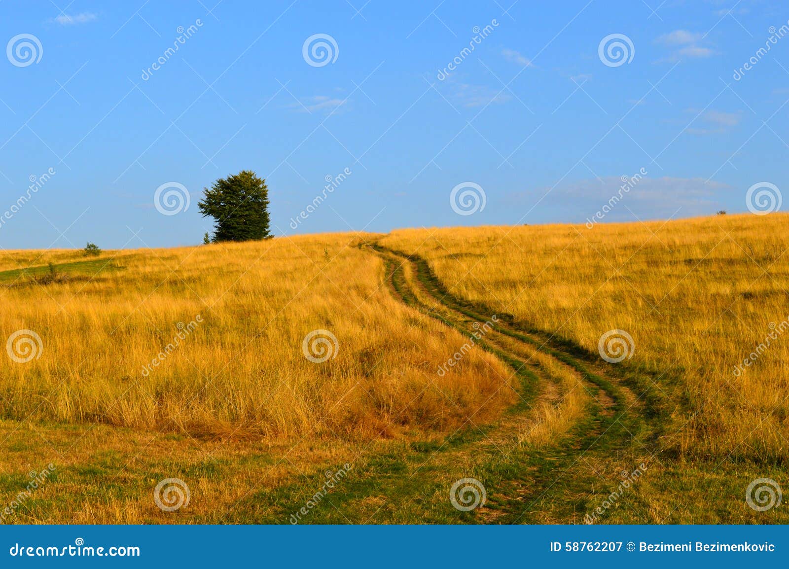 Nature gold landscape stock image. Image of blue, idyllic - 58762207