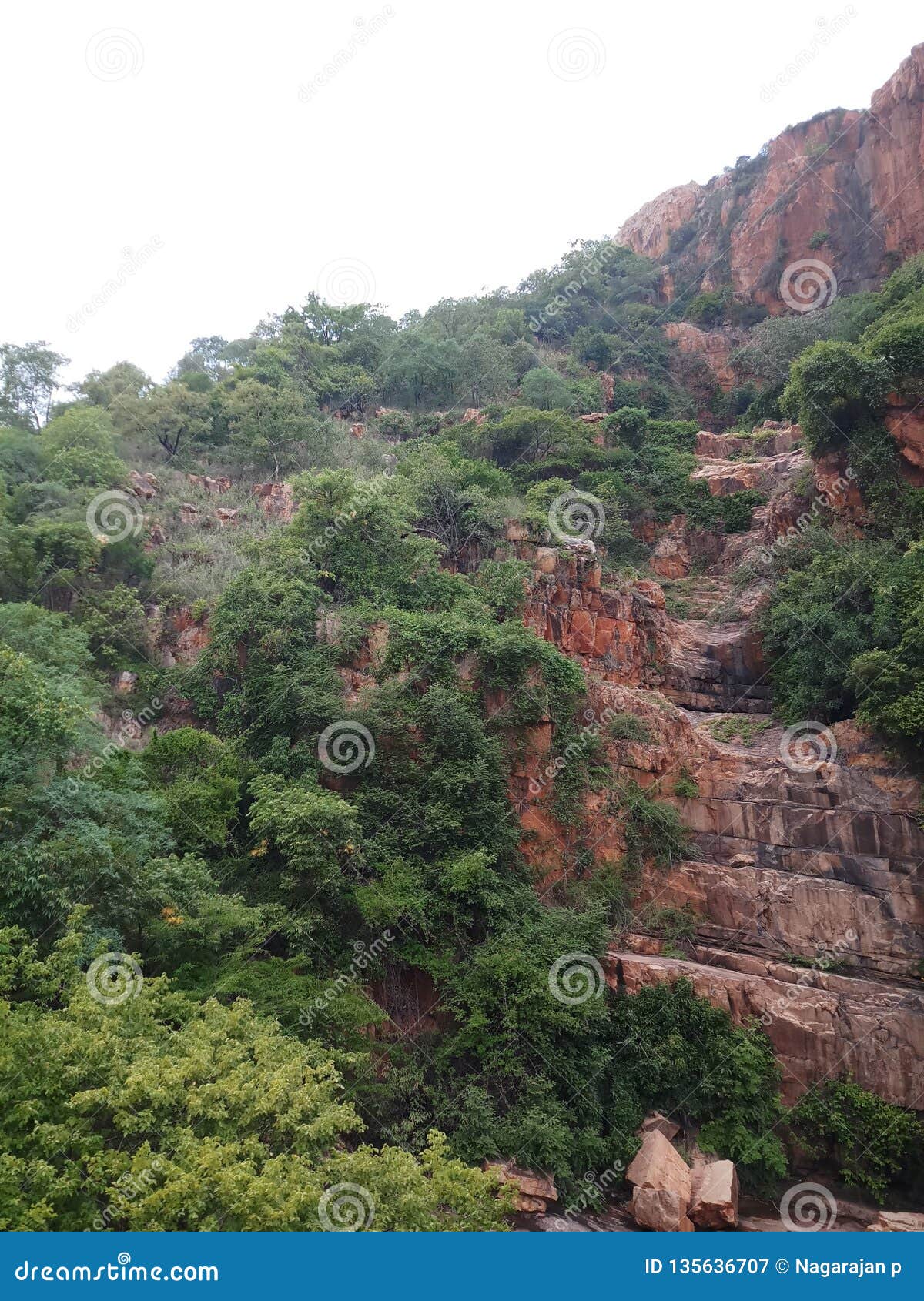 Nature stock image. Image of natural, looking, nature - 135636707