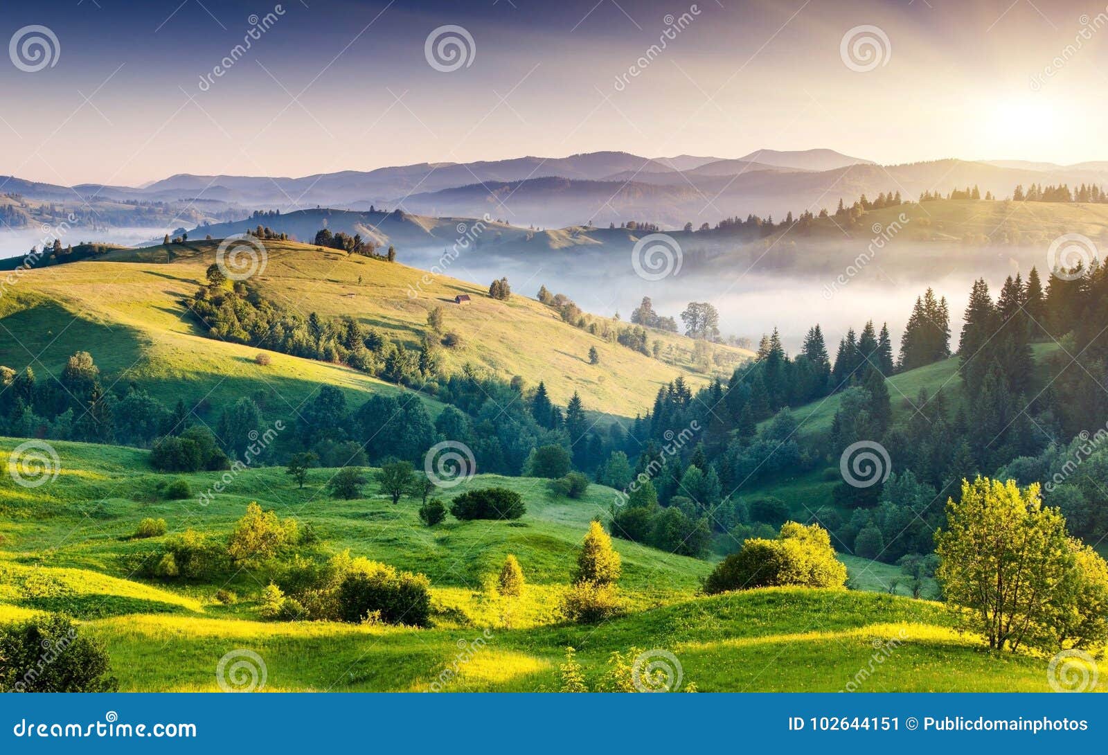 Nature, Grassland, Highland, Wilderness Picture. Image: 102644151